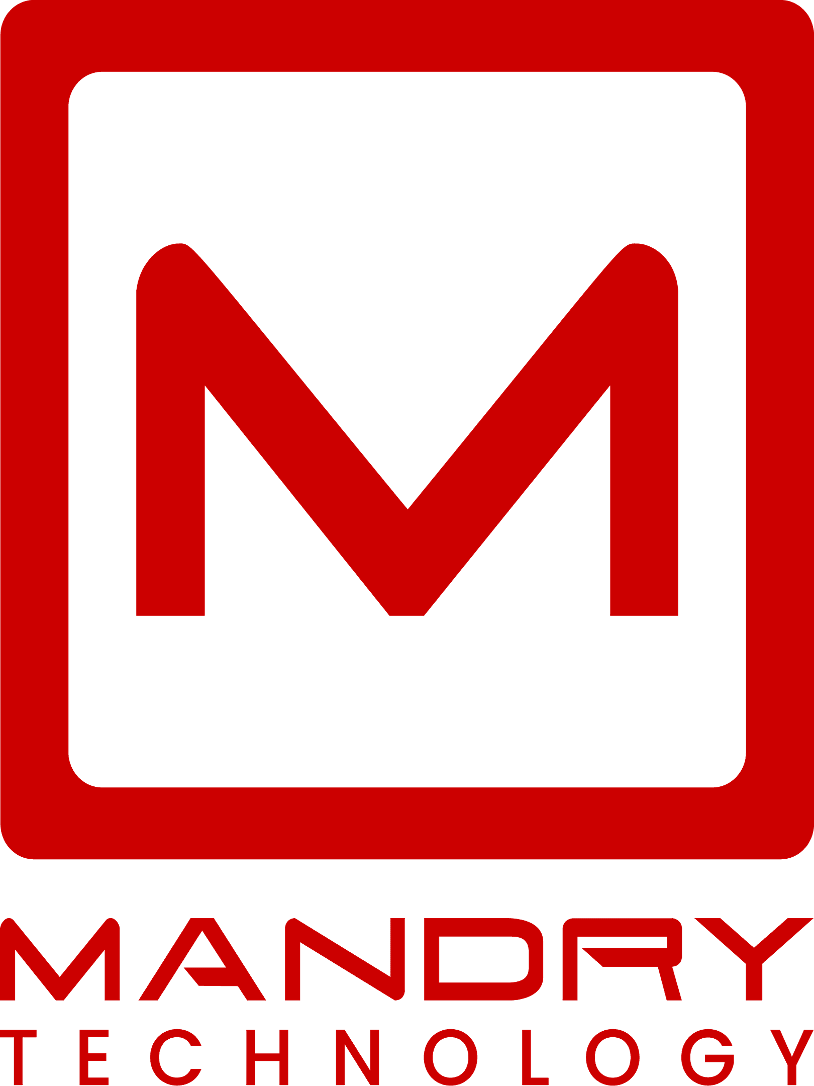 Cyber Risk Management - Mandry Technology